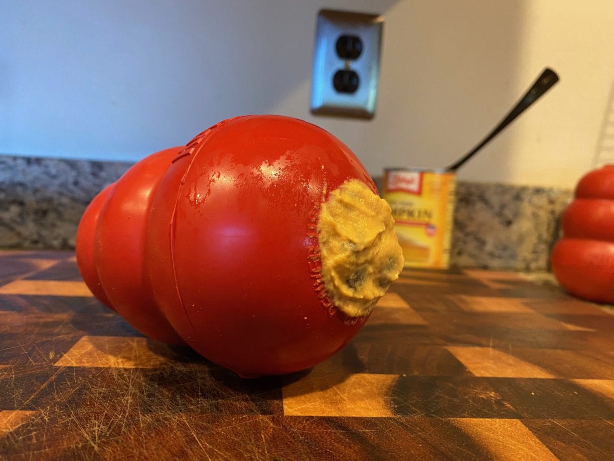 10 Tried & Tested, Delicious Kong Recipes For Your Puppy! - Rebarkable
