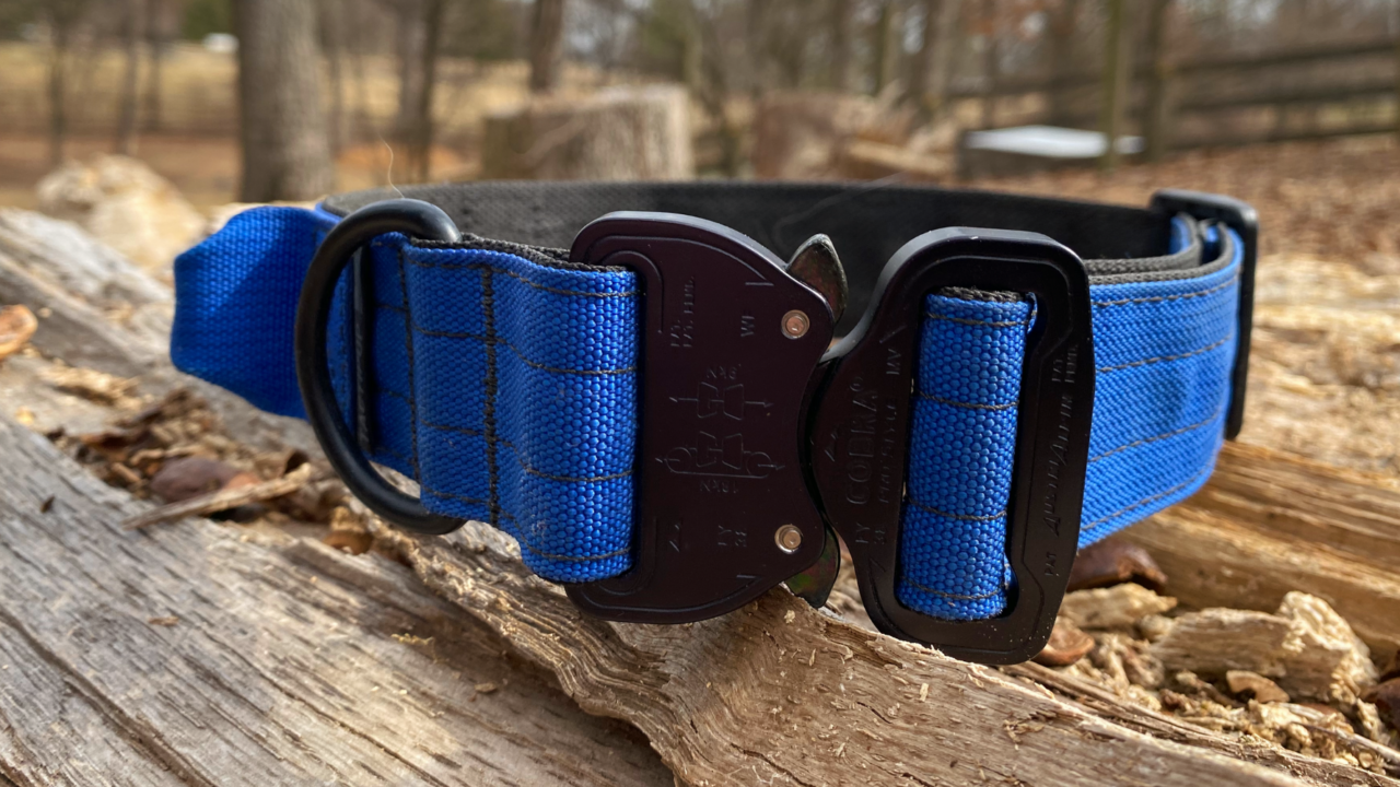 Tactipup Extreme Dog Collar 1.5" - An Honest Review - Rebarkable