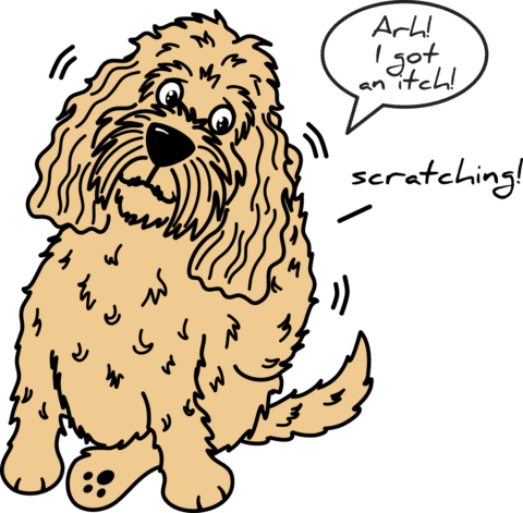 All About Displacement Behaviours In Dogs - Rebarkable