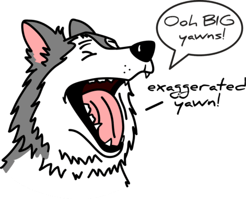 All About Displacement Behaviours In Dogs - Rebarkable