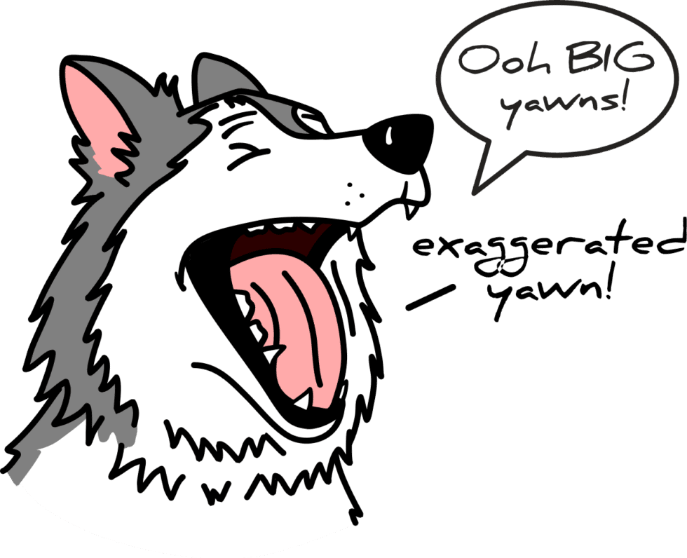 All About Displacement Behaviours In Dogs - Rebarkable