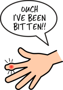 Ladder of Canine Aggression (Or Communication) - Rebarkable