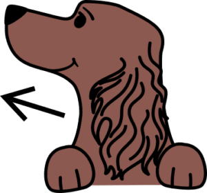 Ladder of Canine Aggression (Or Communication) - Rebarkable