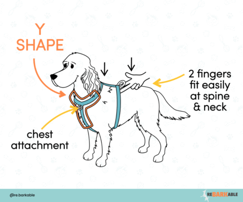 14 Best Escape Proof Dog Harnesses 2024 - According To A Pro Trainer ...