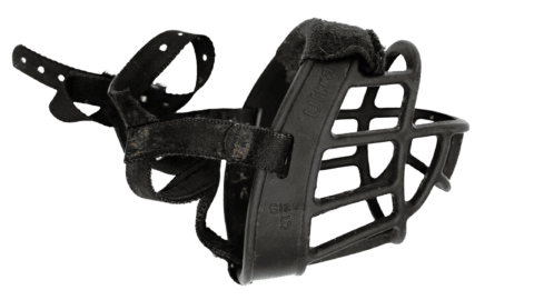 Explaining The 6 Types Of Dog Muzzles & What They're For 2024 - Rebarkable