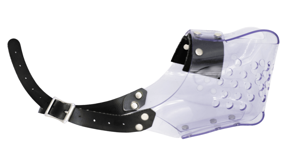 Explaining The 6 Types Of Dog Muzzles & What They're For 2024 - Rebarkable