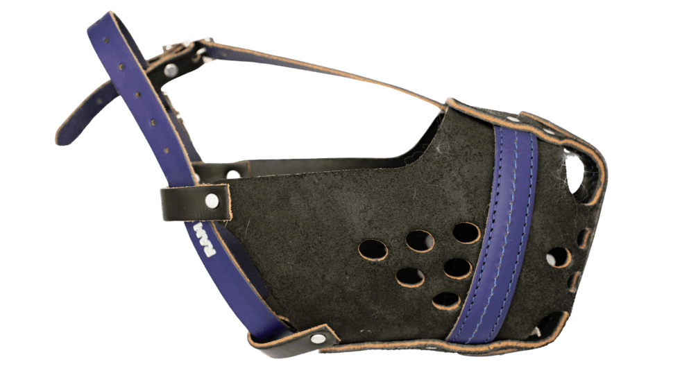 Explaining The 6 Types Of Dog Muzzles & What They're For 2024 - Rebarkable