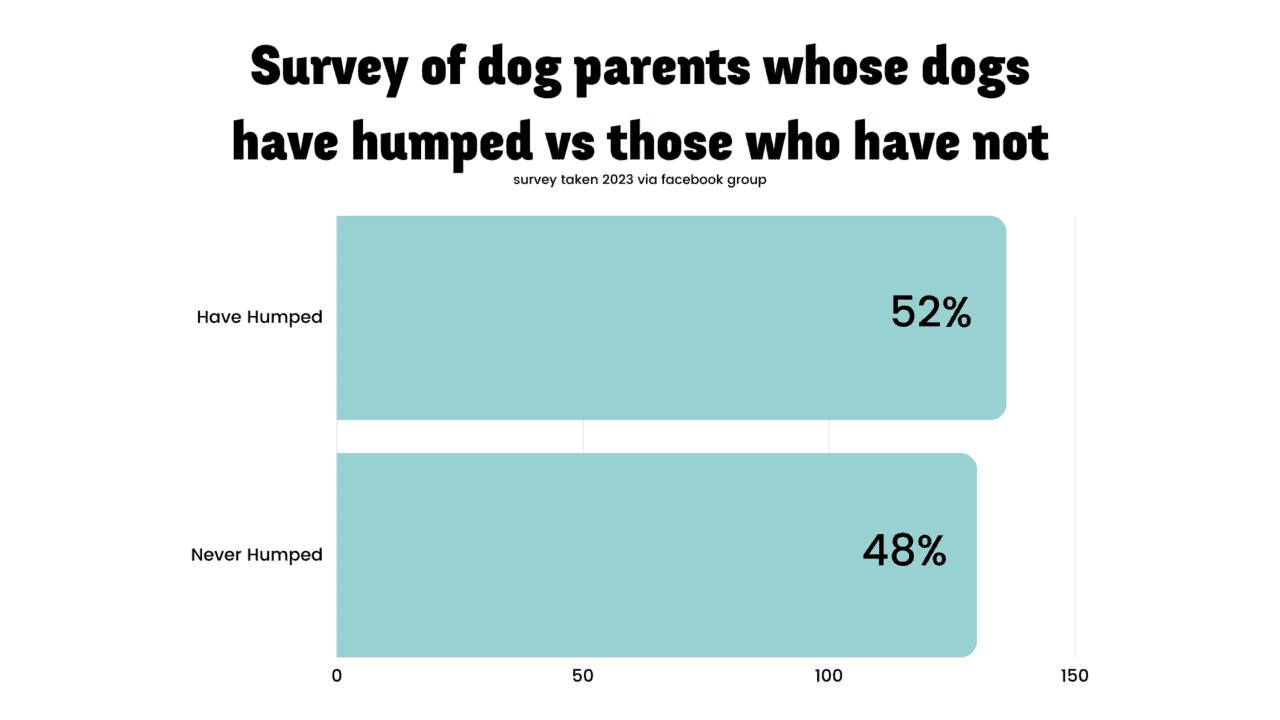 Why Does My Puppy Hump? And How Do I Stop It? - Rebarkable